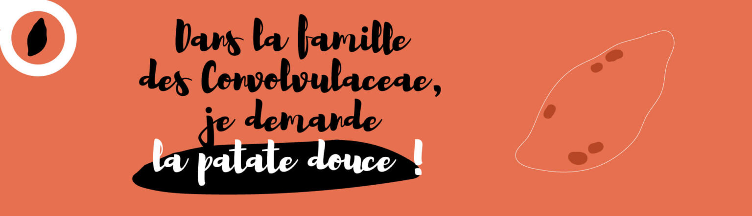 Services de restauration collective et professionnelle Serenest Entreprise